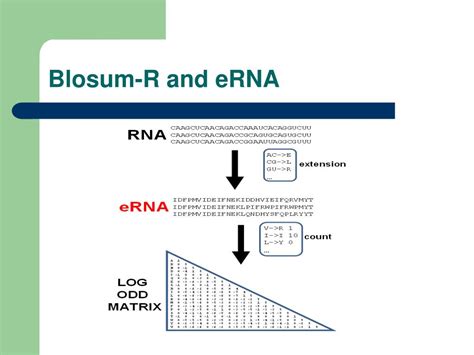 ppt finding aligning and analyzing non coding rnas powerpoint