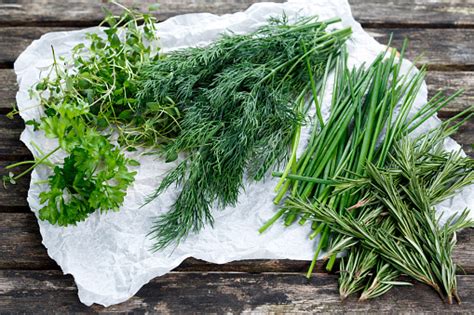 신선한 녹색 야채 허브 딜 로즈메리 파슬리 어떤 요리에 사용하더라도 쪽파는 및 타임 가지 채소에 대한 스톡 사진 및 기타 이미지 Istock