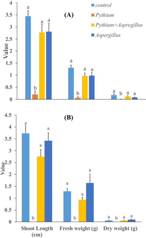 Effect Of Aspergillus Terreus On Shoot Length Fresh And Dry Weight Of