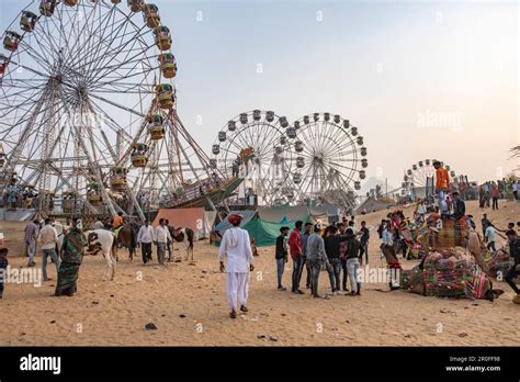 Behind The Scenes At The Pushkar Camel Fair Pushkar Rajasthan India