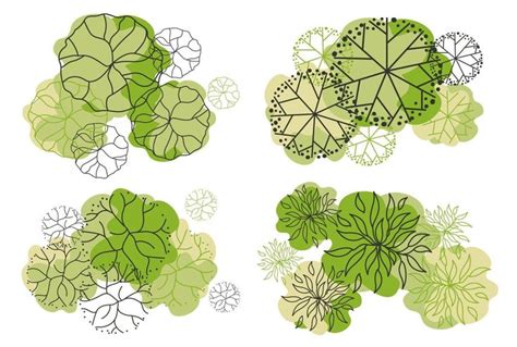 Tree For Architectural Floor Plans Entourage Design Various Trees Bushes And Shrubs Top Vi