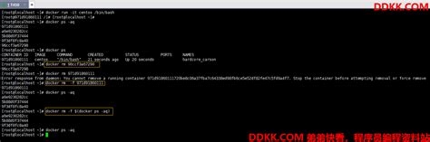 Docker 实战：常用命令 3 容器命令 弟弟快看教程