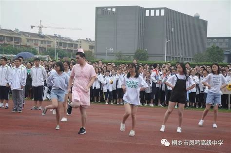 桐乡市凤鸣高级中学 桐乡市第二中学 桐乡市茅盾中学 大山谷图库