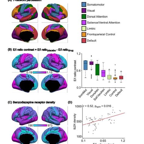 Ei Ratio Estimate Is Sensitive To The Effect Of Benzodiazepine Download Scientific Diagram
