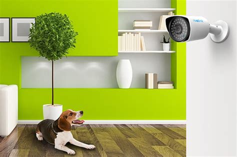 home-security-camera-dog | tips-to-keep-your-flats-in-electr… | Flickr