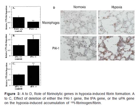 Atherosclerosis Open Access Induced Activation Of The Procoagulant
