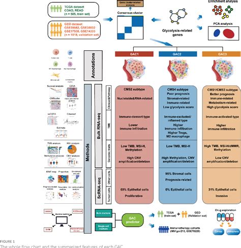 Figure 1 From Machine Learning Based Glycolysis Associated Molecular Classification Reveals