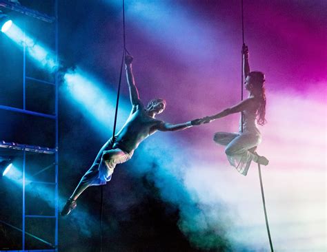 standardised framework for recording injuries in the circus arts rtrfm