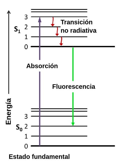 Fluorescencia Labster Theory