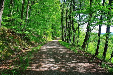 Landscape Nature Path Free Photo On Pixabay