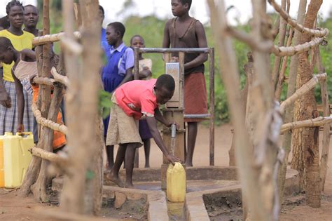 Offset Your Emissions Directly CO2balance