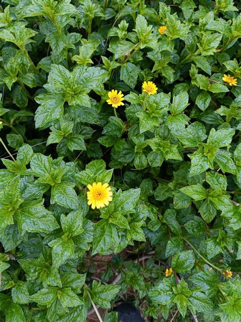 D Kumar Sarkar On Linkedin Small But Beautiful ️ Gives A Refreshing Feeling As A Start Up Of