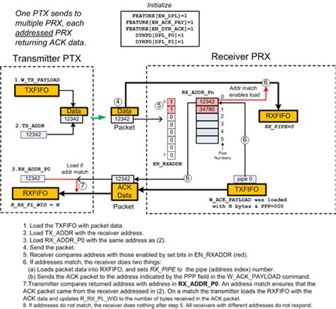 Purpose Of Ppp Field In Nrf L W Ack Payload Command Nordic Q A
