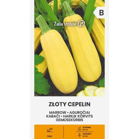 VL AGUROČIAI ZLOTY C EPELIN LYTAGRA