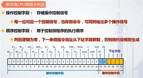 计算机组成原理——微程序控制器2【简答题】根据实验中所设计的微指令格式指出哪几位是操作控制字段和顺序控制字 Csdn博客 计算机组成原理——微程序控制器2【简答题】根据实验中所设计的微指令格式指出哪几位是操作控制字段和顺序控制字 Csdn博客