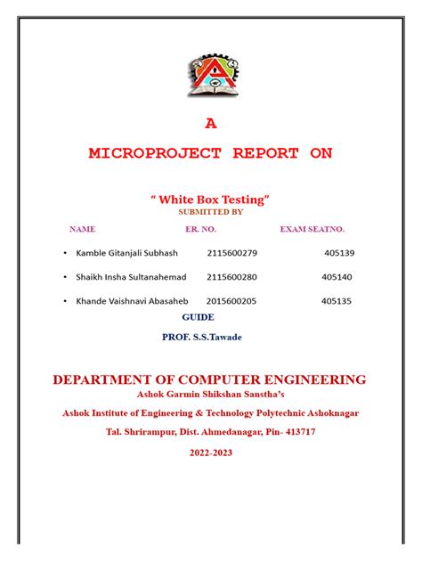 software project pdf software testing unit testing