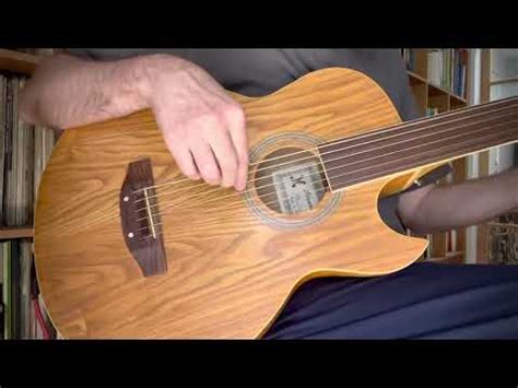 Harmonia Six String Fretless Acoustic Electric Bass Guitar Reverb UK