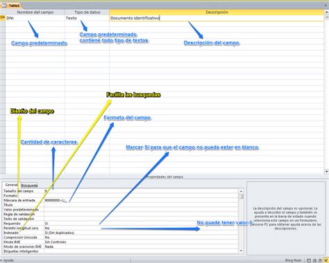 Informatizate Tipos De Campos Access