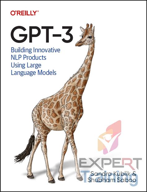 GPT Building Innovative NLP Products Using Large Language Models Expert Training