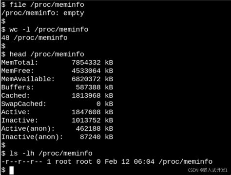 Linux开发讲课47 详解 Linux 中的虚拟文件系统linux虚拟文件系统详解 Csdn博客