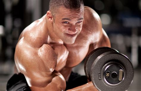 Le Curl Assis Pour De Plus Gros Biceps Toutelanutrition