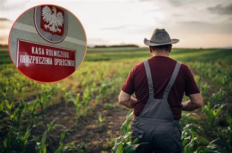 Rolnicy dostaną wyższe emerytury Czy składki z ZUS będą włączone do KRUS