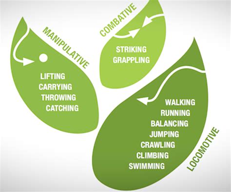 Functional Movement Physical Activities Movement Combative