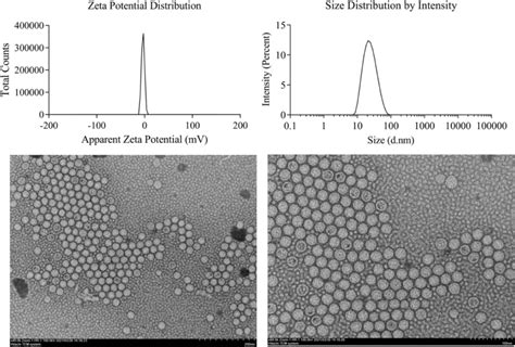 Characterization Of Snedds Download Scientific Diagram