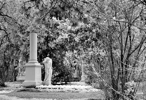 Mozarts Unmarked Grave In Mozart S Footsteps Uncommon Musical Travel