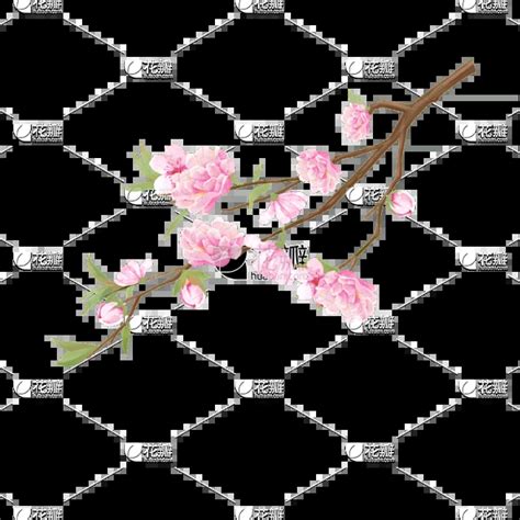 手绘花枝树枝花朵元素 花瓣网