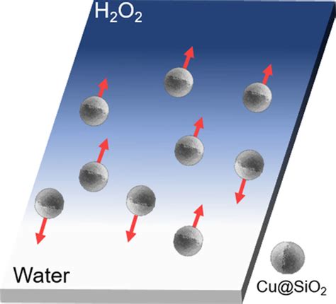 Microswimmers Chemotaxis Behavior In A Stop Flow Gradient Microfluidics Innovation Center