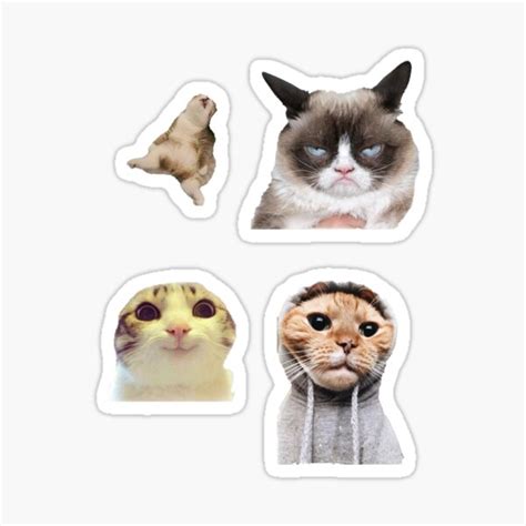 Funny Cat Sticker Pack Sticker For Sale By Stipej Redbubble