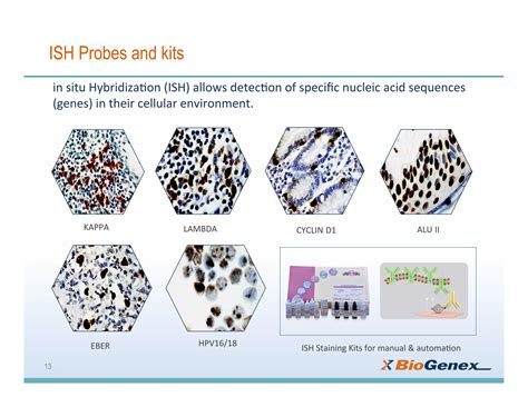 Automated Tissue Stainer Xmatrx Infinity Pdf