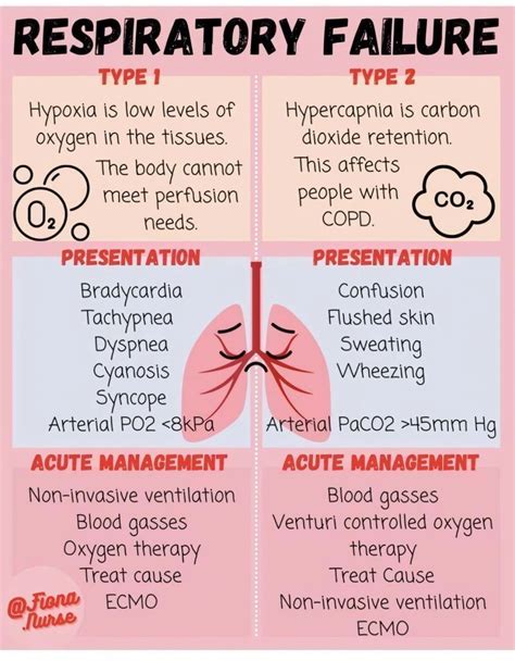 Head To Toe Assessment Complete Physical Assessment Guide Artofit
