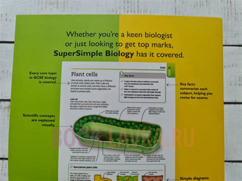 Super Simple Biology The Ultimate Bitesize Study Guide купить в