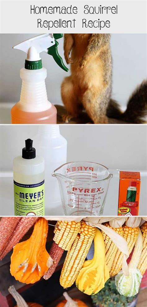 Homemade Squirrel Repellent Recipe Decor Dıy Outdoor Garden Decor