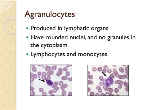 Laboratory Techniques And Procedures Ppt Download