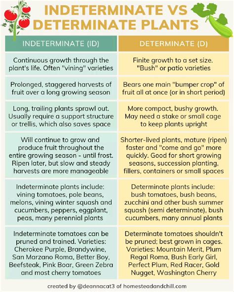 Determinate Vs Indeterminate Plants Important Differences To Know Artofit