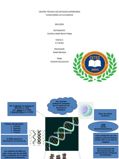 Acidos Nucleicos Pdf Ácidos Nucleicos Adn