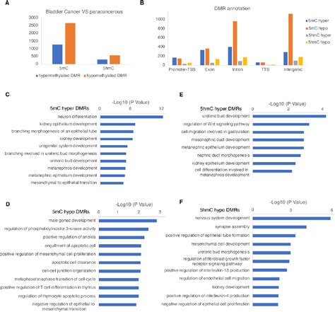 Figure 1 From Integrative Multi Omics Analysis Depicts The Methylome