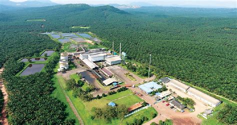 Cover Story Ltat Addresses Its Boustead Dilemma