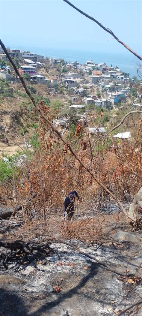 Da Gobierno De Acapulco Seguimiento Al Combate De Incendio Forestal En
