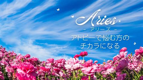 Iris Atelier Iris Atelier Added A New Photo