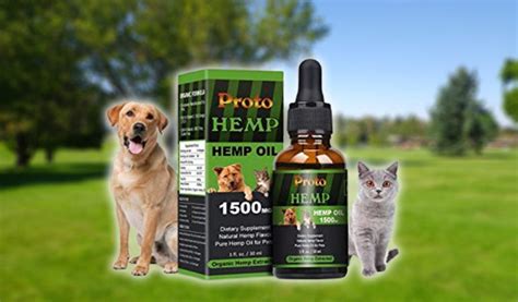 5 Best Cbd Oil For Dogs And Cats Uk 2020 Reviews Buying Guide Offers