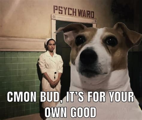 Fem Pyro Rpyrocynical