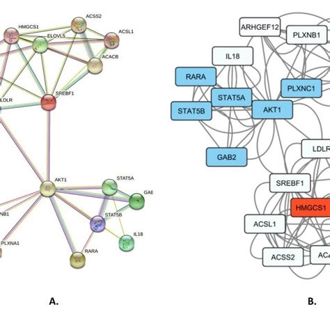 Protein Protein Interactions For The 492 Targets As Obtained From The