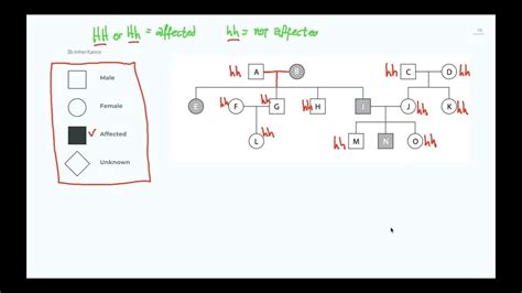Pedigree Diagrams In Genetics Igcse Biology Ib Biology Youtube