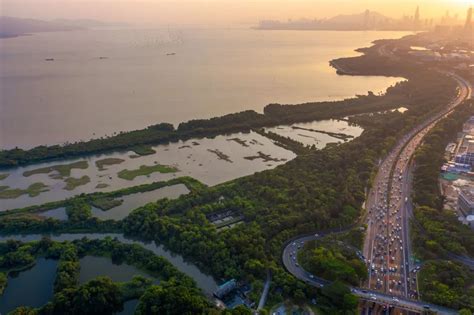 这届香港人人均深圳旅游博主 澎湃号湃客 澎湃新闻 The Paper