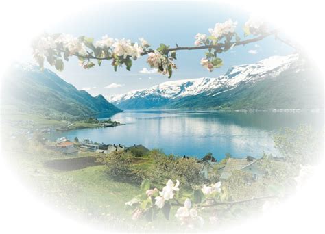 Природа на прозрачном фоне Zefirkaclub фото и картинки