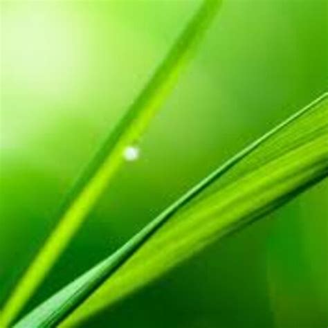 How Is To Find The Band Gap Of A Material Employing Hse Functional By Scf Calculation In Quantum